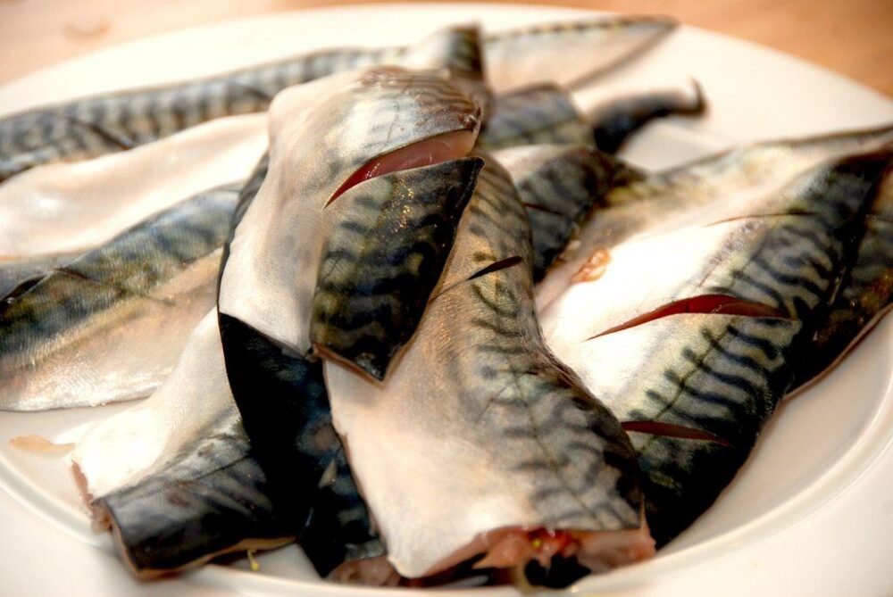 Grillet makrel med hvidløgsolie