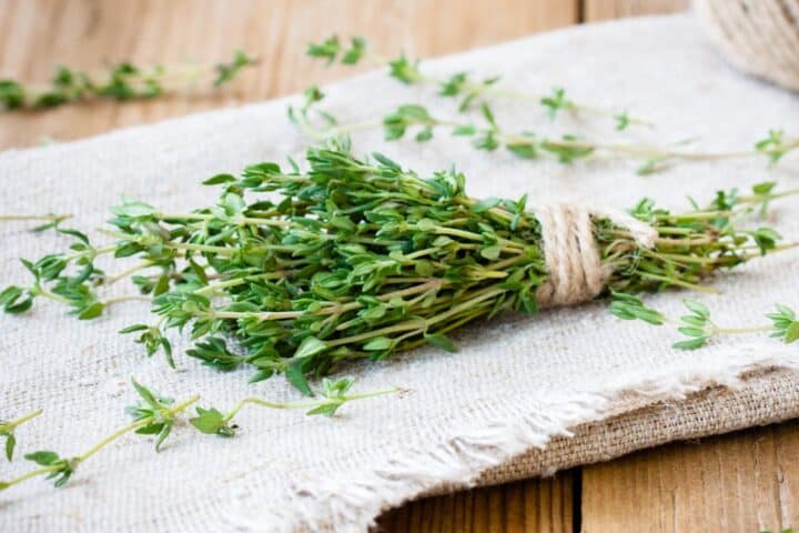 Chai te - opskrift på den indiske drik, der giver varmen