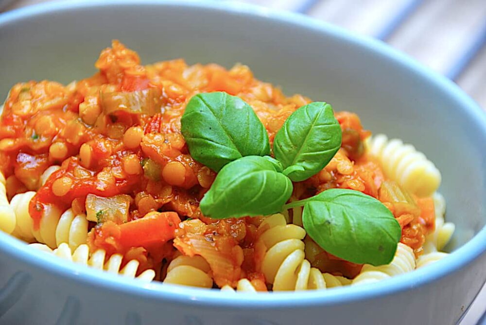 Vegetar opskrifter - god og nem vegetarmad