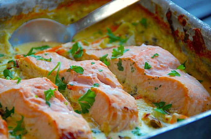 Opskrifter med fisk (nemme fiskeretter og fakta)