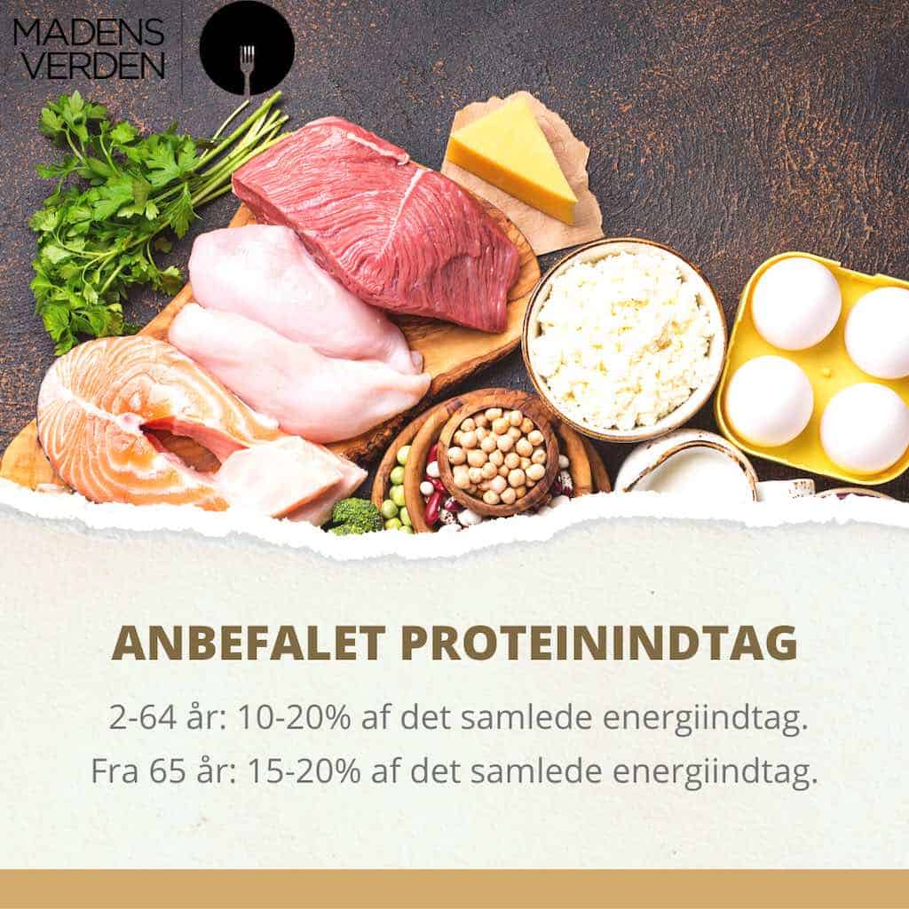 Fakta om proteiner - sundhed og anbefalinger - Madens Verden