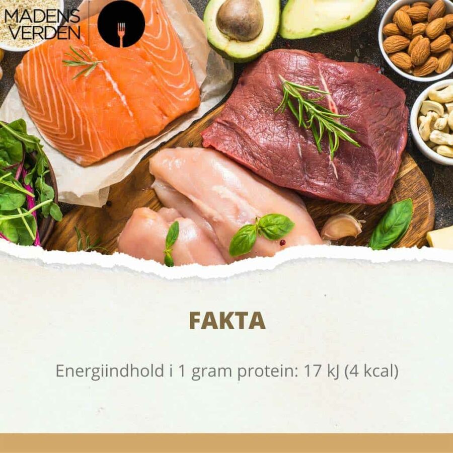 Fakta om proteiner - sundhed og anbefalinger - Madens Verden