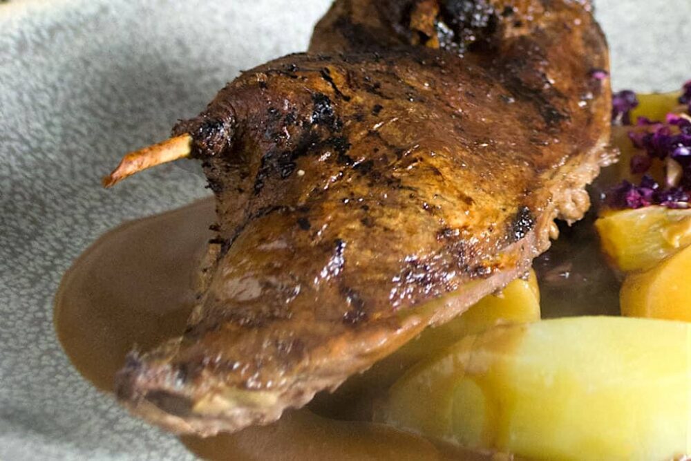 Gråand - sådan steger du en vildand i gryde eller ovn