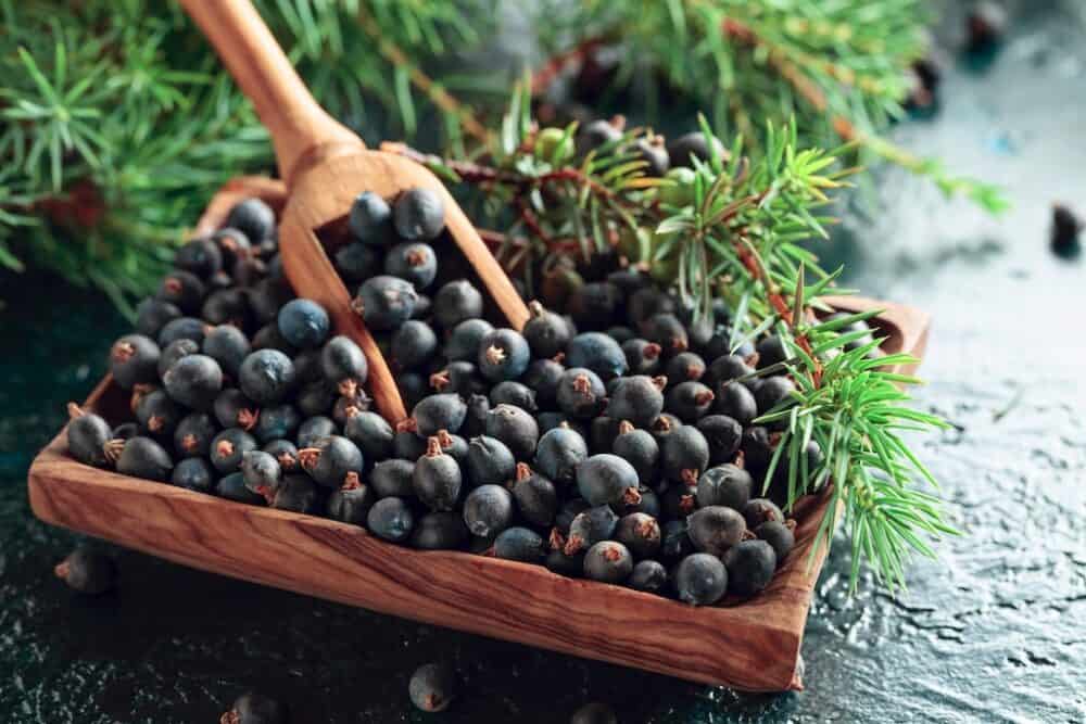 Nem dej til langtidshævet brød (uden æltning)